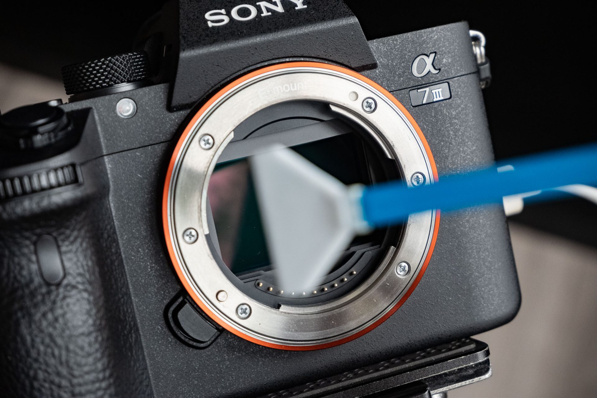 Camera Cleaning - The Norfolk Photographer